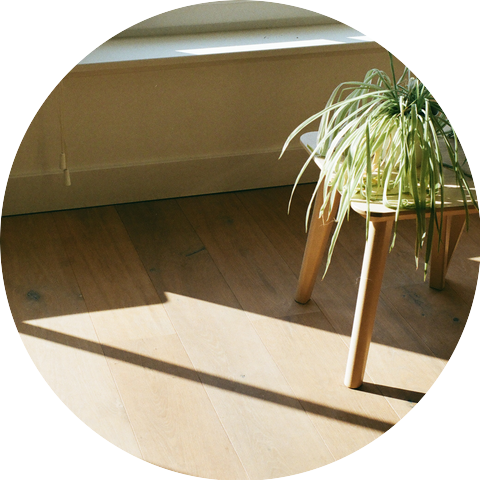 Casey Williams | iHeart