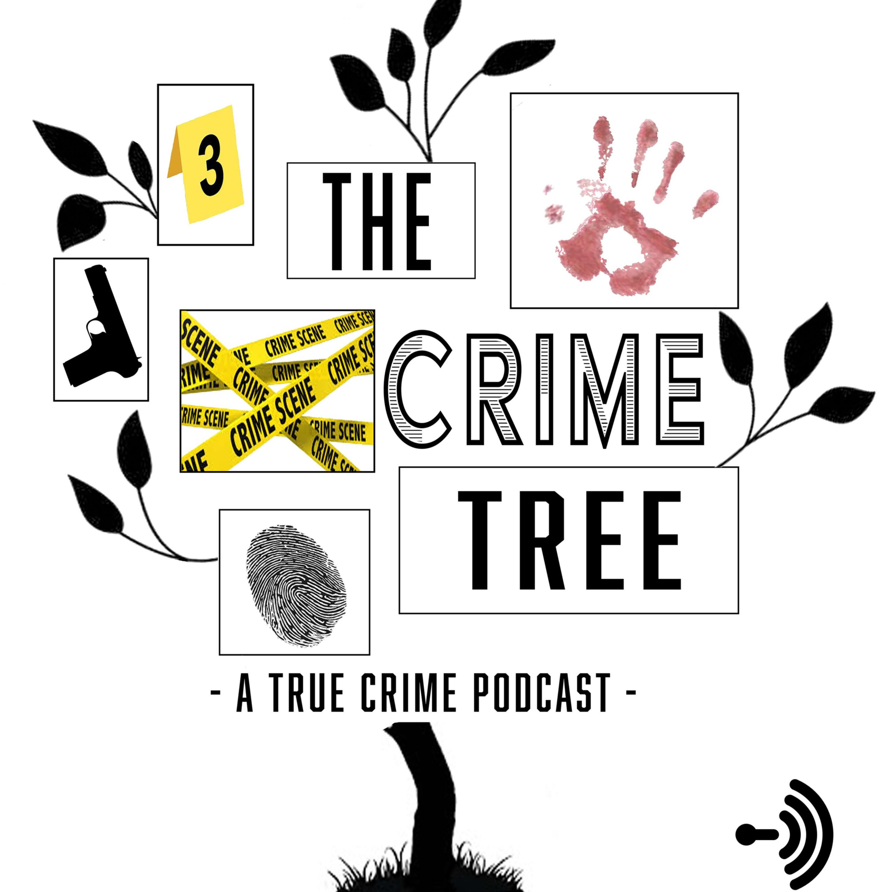Amanda Plasse - The Crime Tree | iHeart
