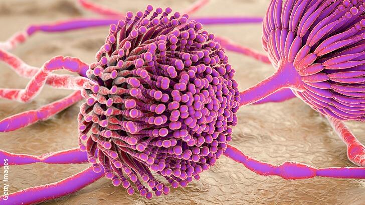 Astronomer Expects Alien Life Discovery Within Two Decades | Coast to ...