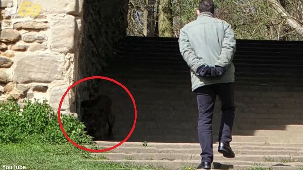 'Demon Dog' Photographed in England? | Coast to Coast AM