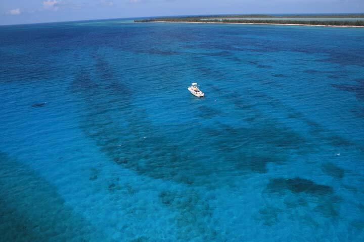 Bimini Images | Coast to Coast AM