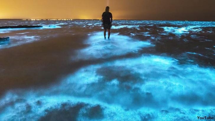 Video: Breathtaking Bioluminescent Algae Filmed in Australia | Coast to ...