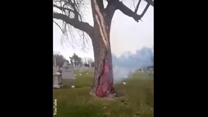 'Demon Tree' Spotted at Cemetery | Coast to Coast AM