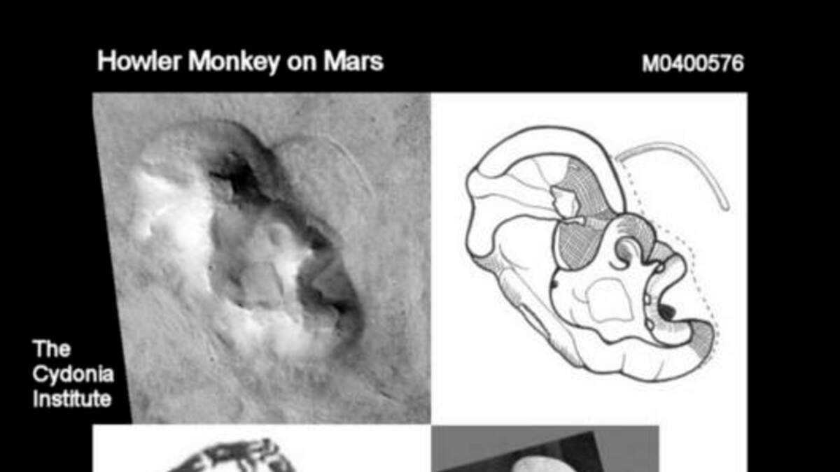 Howler Monkey on Mars | Coast to Coast AM