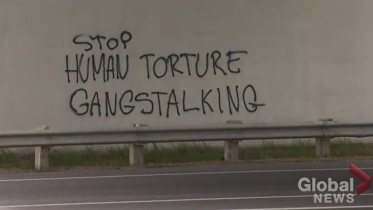 'Gang Stalking' Conspiracy Concerns Come to Canada | Coast to Coast AM