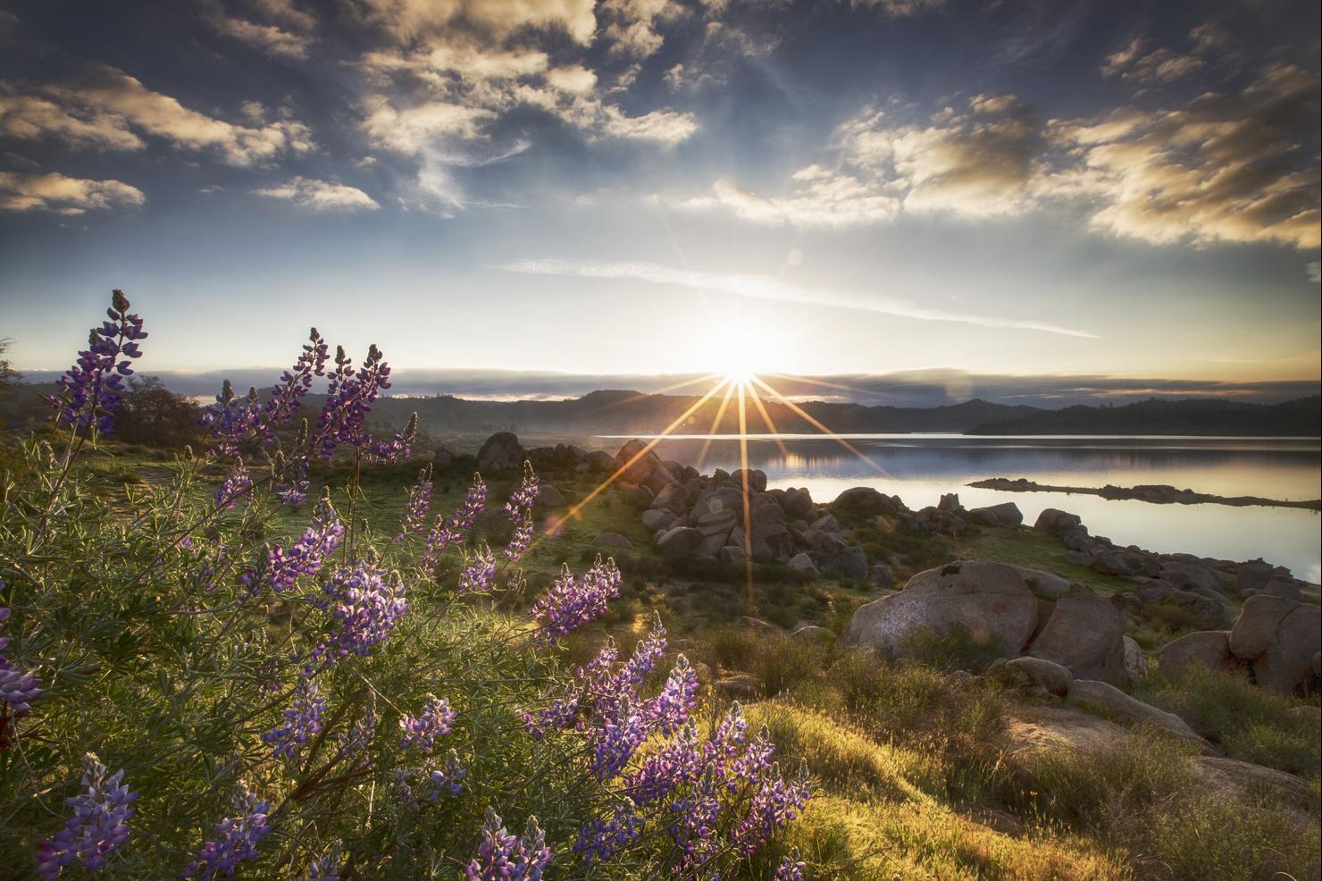What to Know About California's New State Park | iHeart