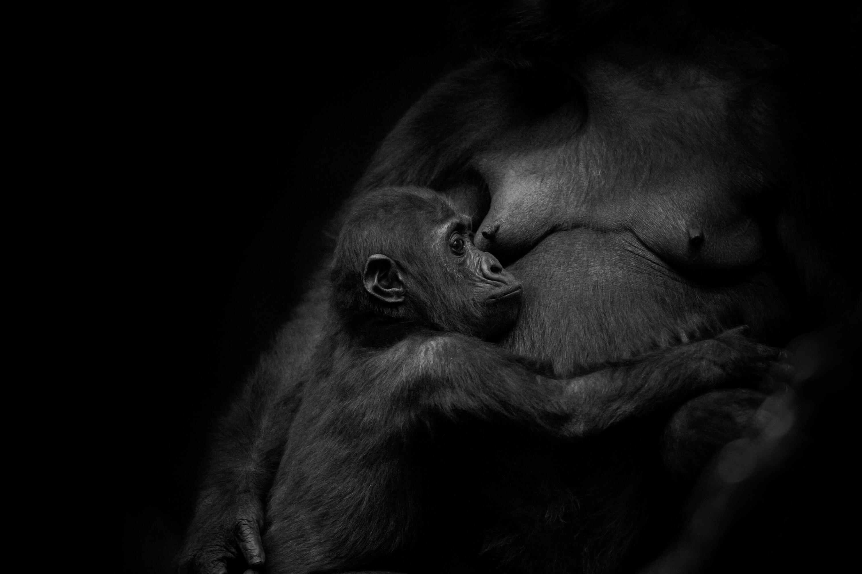 Calaya giving birth in 2018. This is beautiful. | iHeart