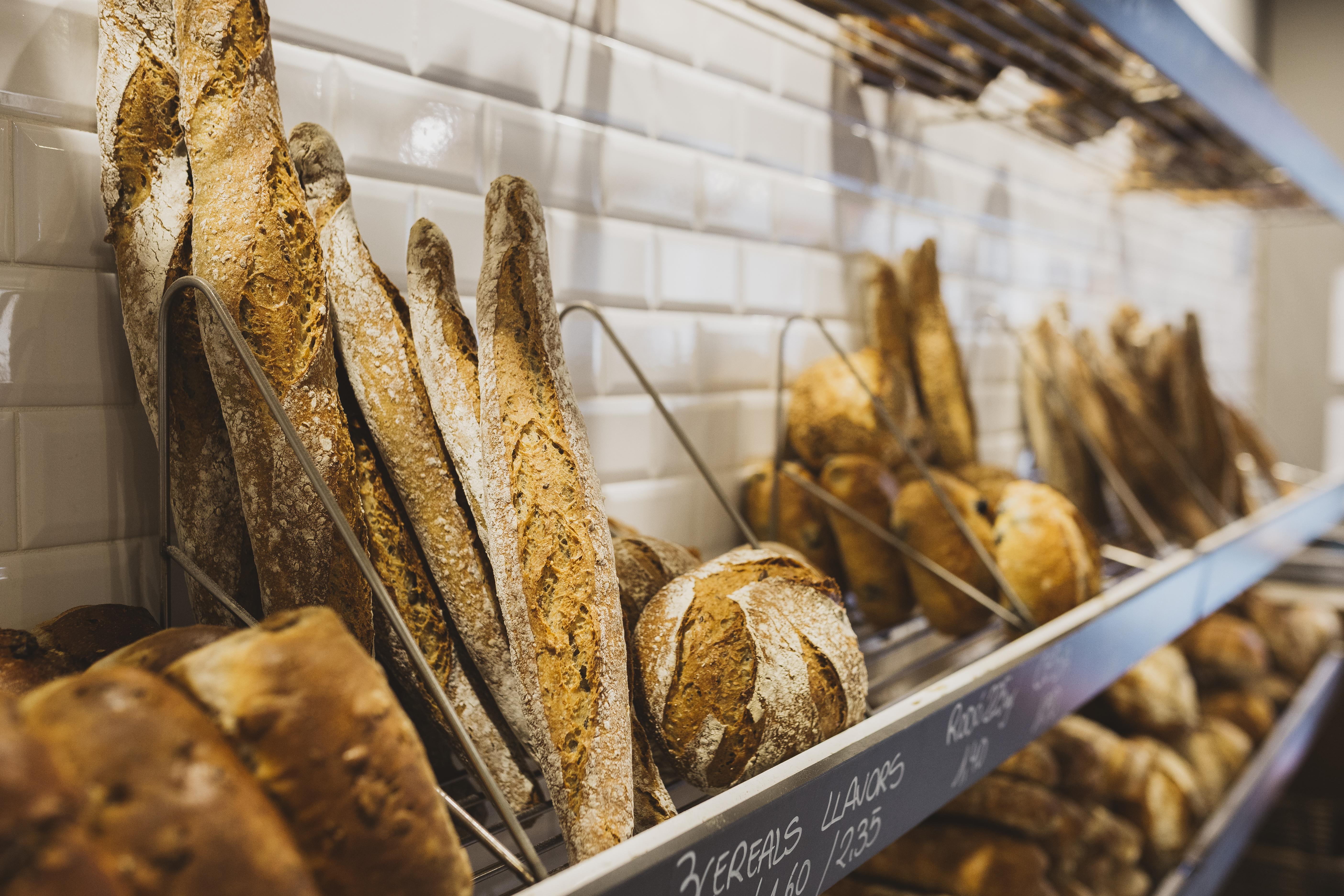 Colorado Bakery Serves Some Of The 'Absolute Best' Bread In The U.S ...