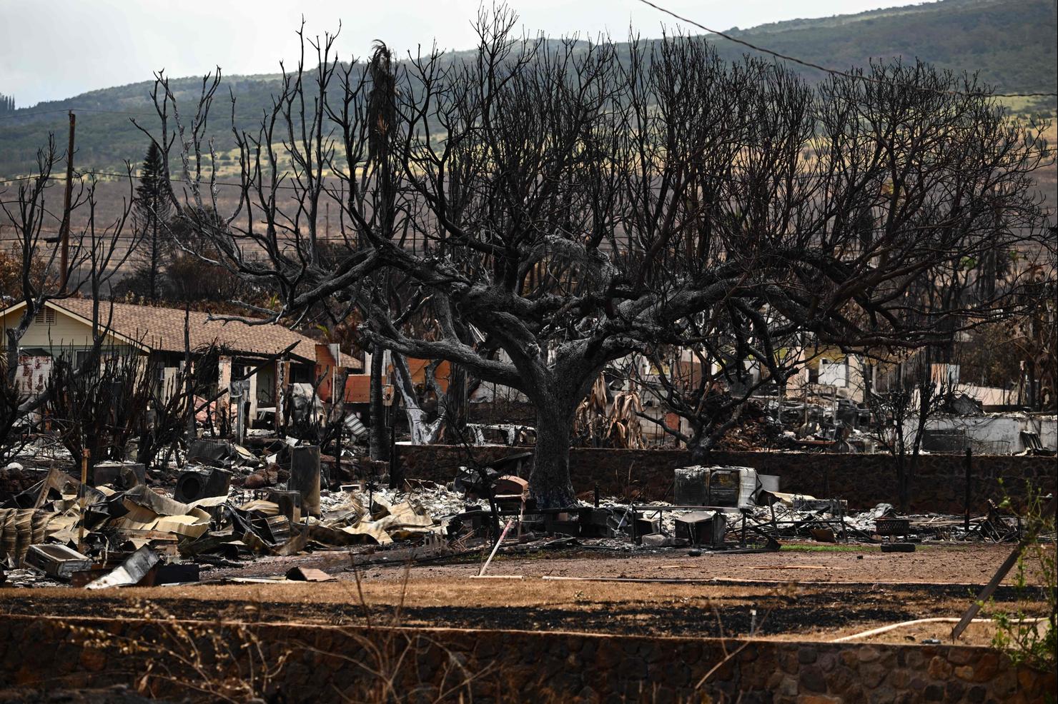 Video May Show What Started The Devastating Maui Wildfires | iHeart
