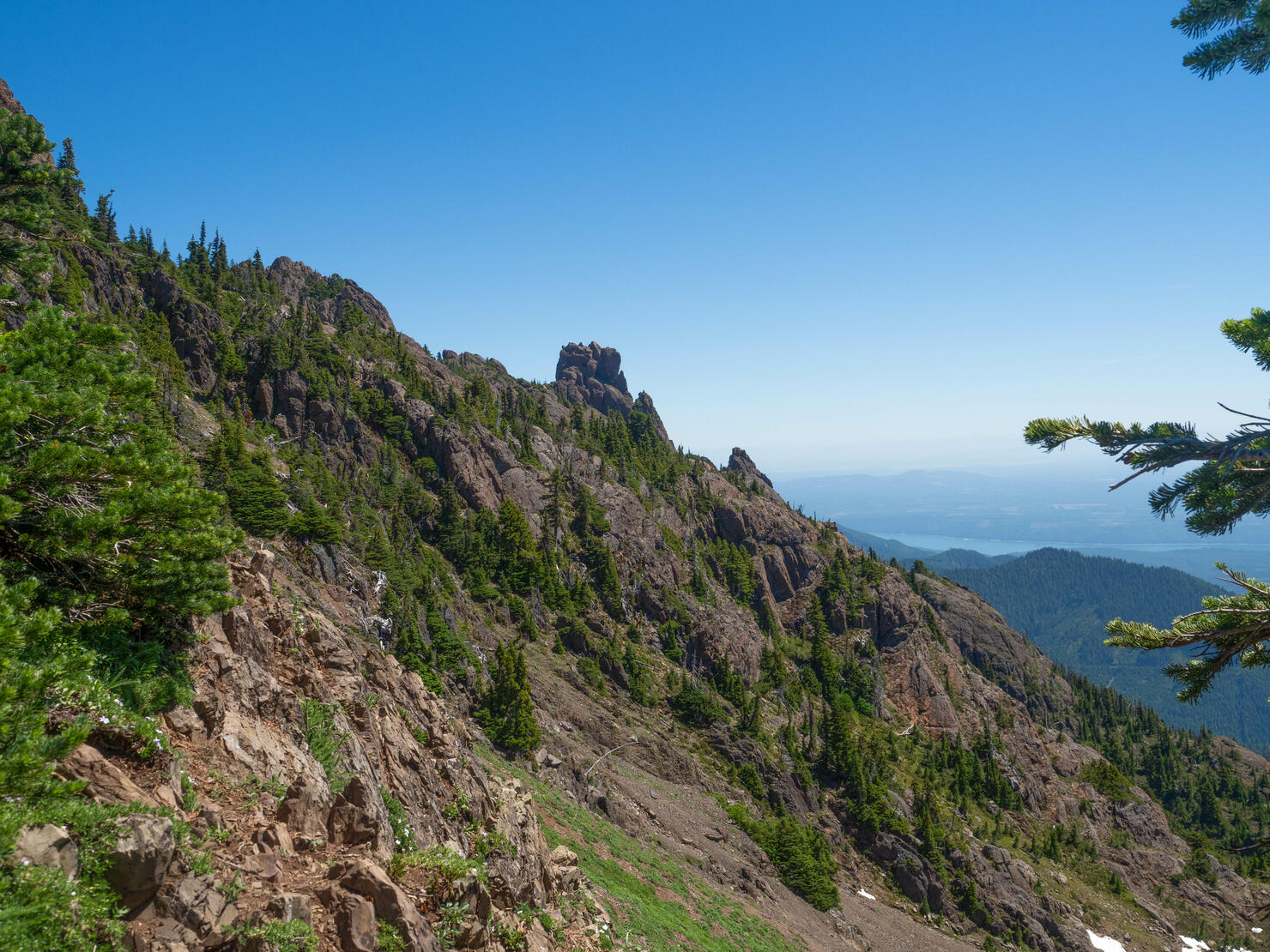 Hiker Rescued After 1,200-Foot Fall Down Ravine At Olympic National ...