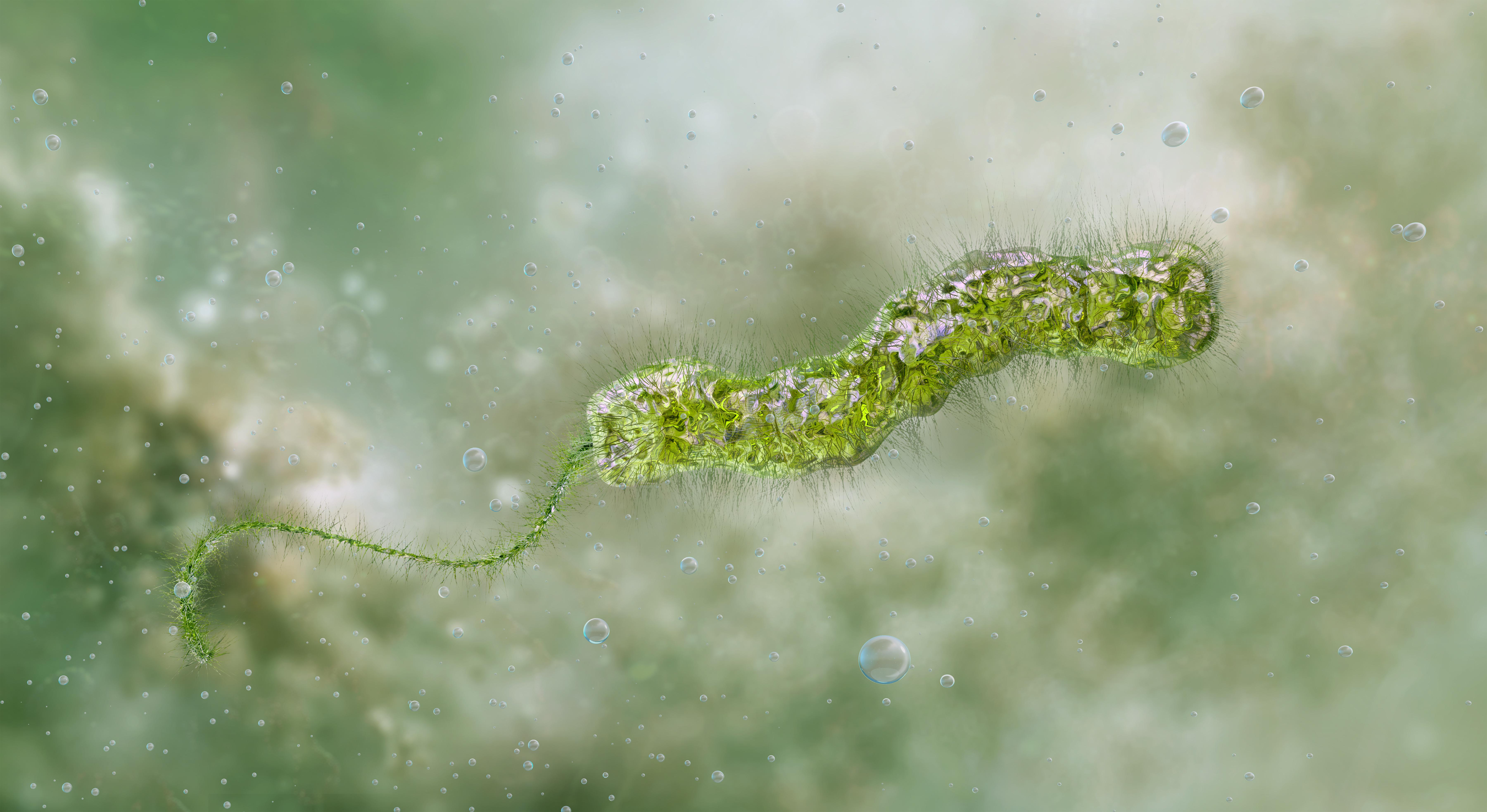 Increase In Cases Of Deadly Flesh-Eating Bacteria Sparks Concerns | iHeart