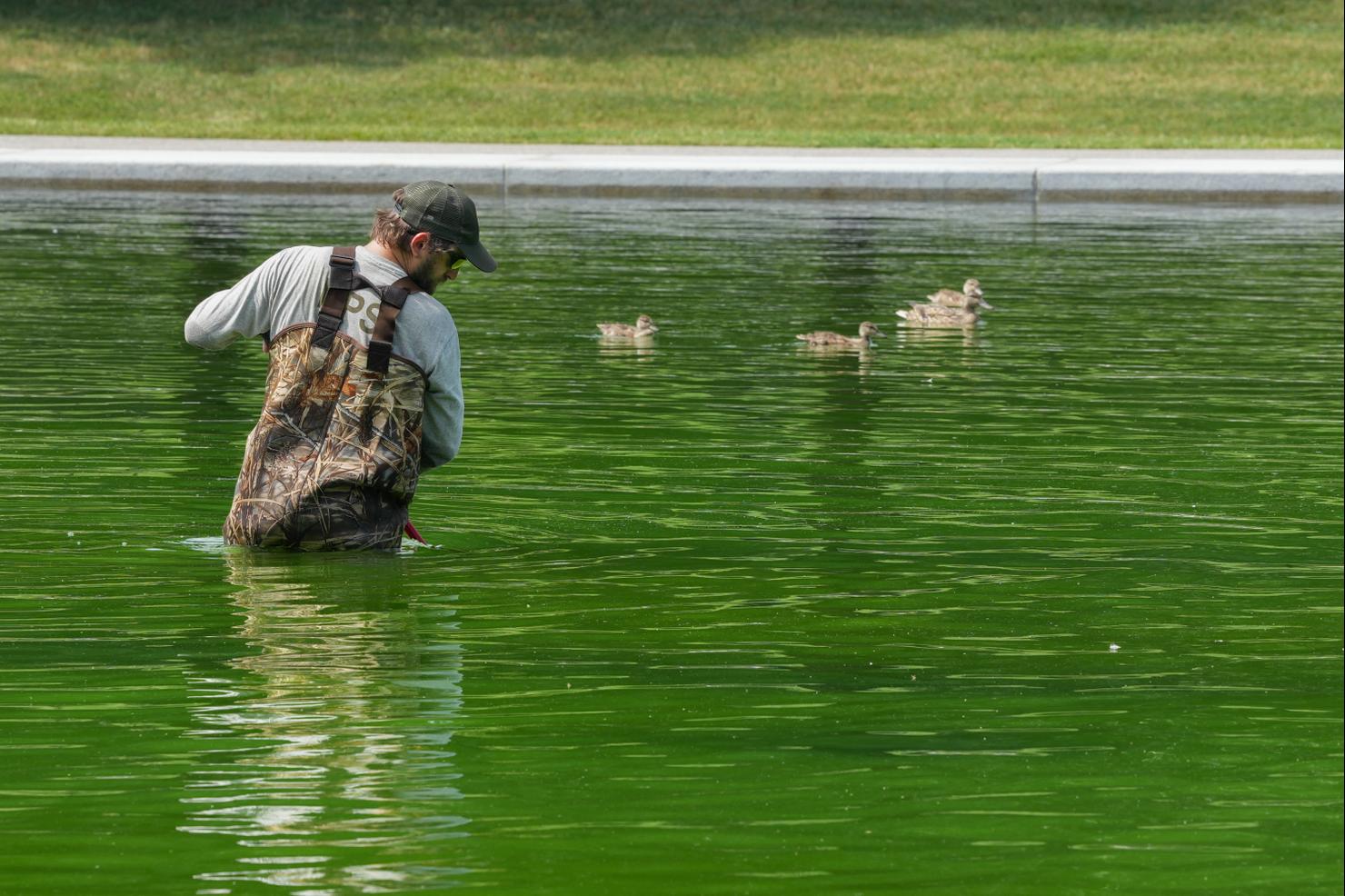 NPS Uses Hydrogen Peroxide for Reflecting Pool Algae | iHeart