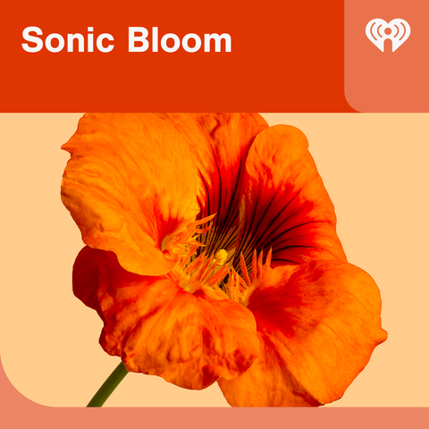 Sonic Bloom | iHeart