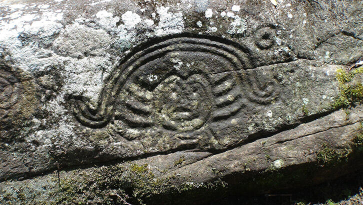 Jerry Wills Photos 3-24-18 | Coast to Coast AM