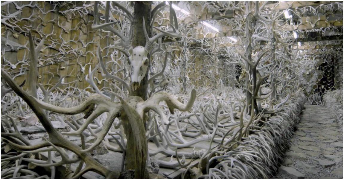 "The Antler Man's" Horn House Is Truly One Of A Kind | iHeart