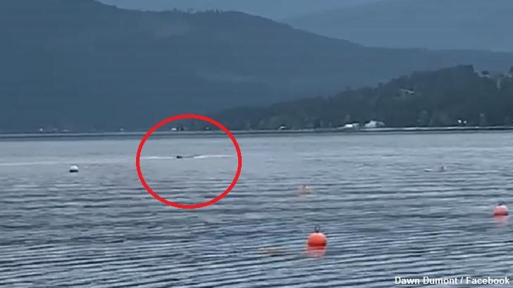 Watch: Lake Monster Filmed in Canada? | Coast to Coast AM with George ...