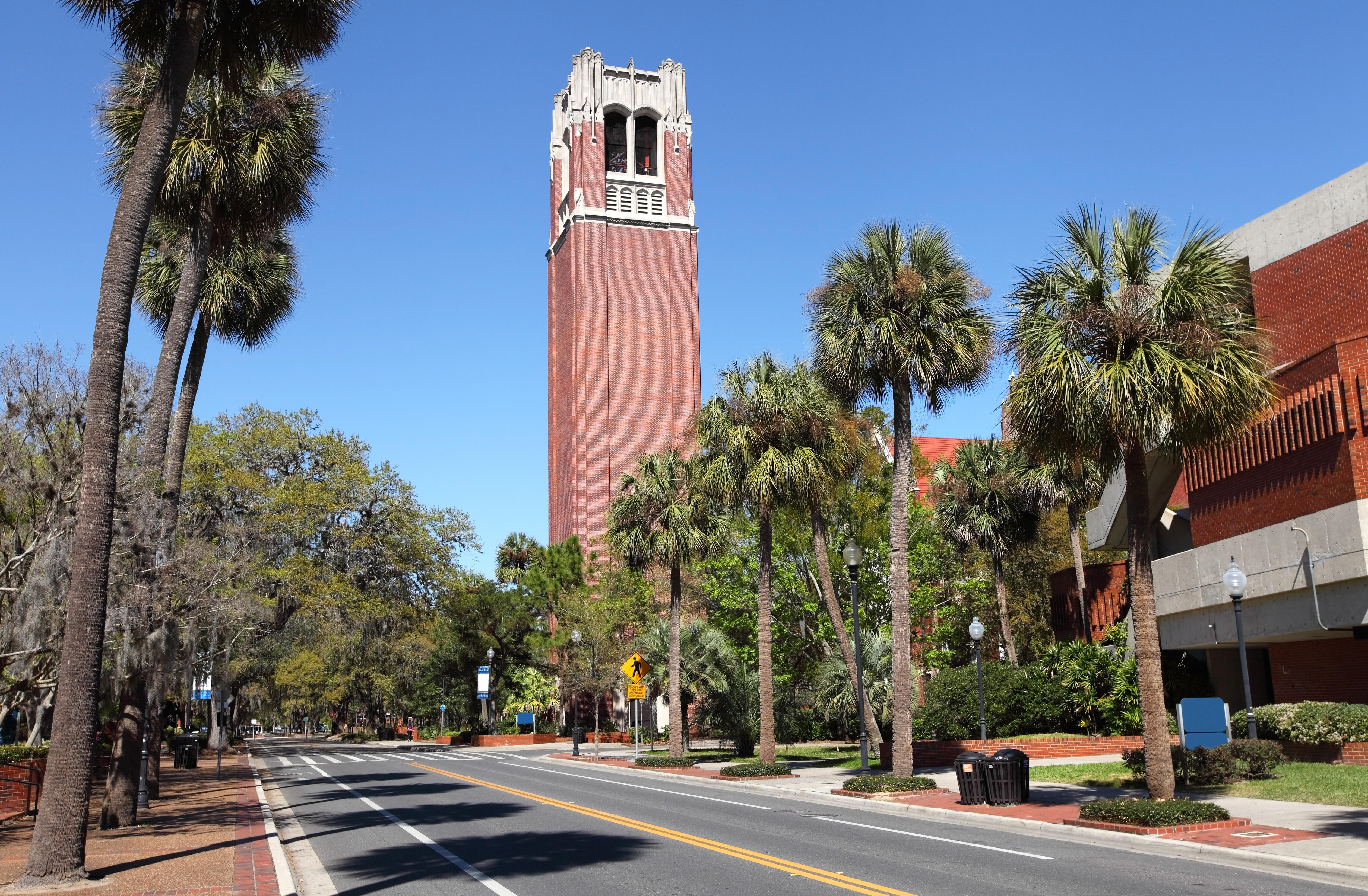 Florida's Universities Rise in National Rankings | Florida News | 1290 WJNO
