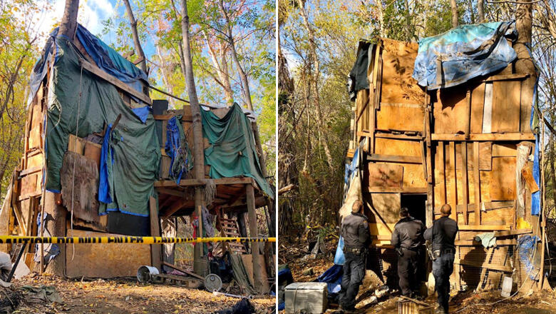 California Crews Tear Down 3-Story Treehouse Being Used As Homeless ...