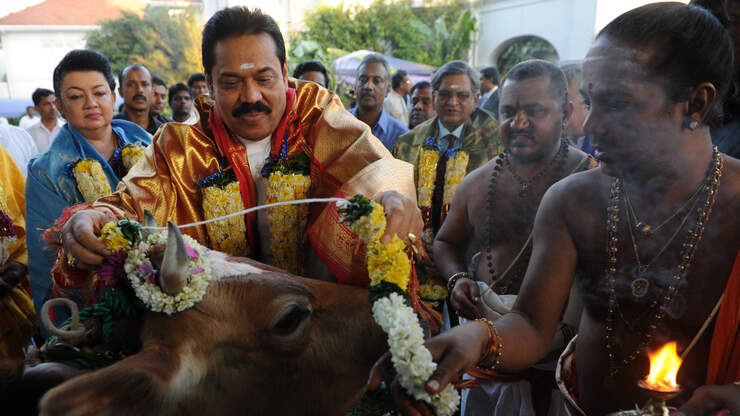 Hindu Mahasabha President: Consume Cow Dung & Urine To Stop Coronavirus | iHeartRadio | Shroom