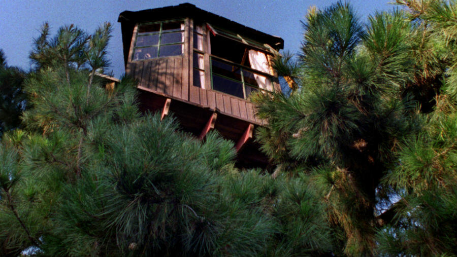 ER Doctor Moves Into His Kids' Treehouse To Treat COVID-19 Patients ...