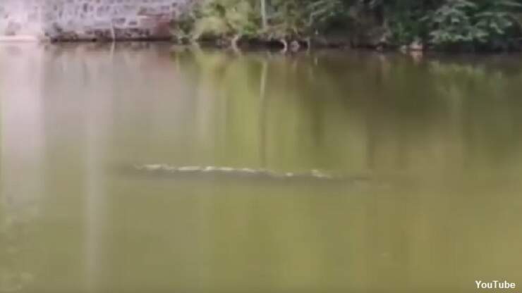 Watch: 'Lake Monster' Filmed in China | Coast to Coast AM