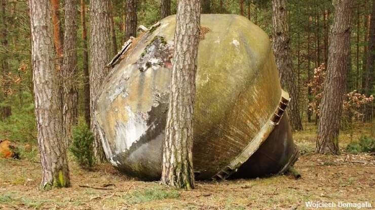 'Unidentified Forest Object' Found in Polish Wilderness | iHeartRadio ...