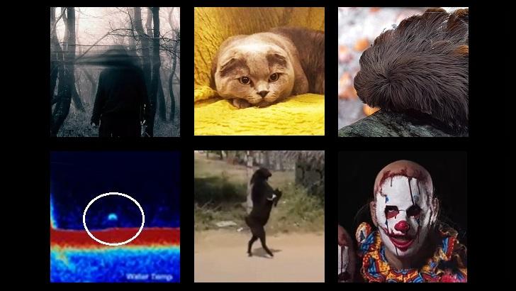 This Week's Weird News 10/9/20 | iHeart