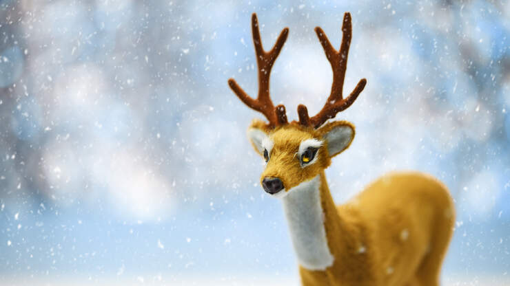 RUDOLPH THE RED-NOSED REINDEER 'Death' Scene Draws Laughs & Disbelief ...