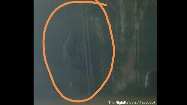 Legendary Cryptid Spotted in Singapore? | Coast to Coast AM