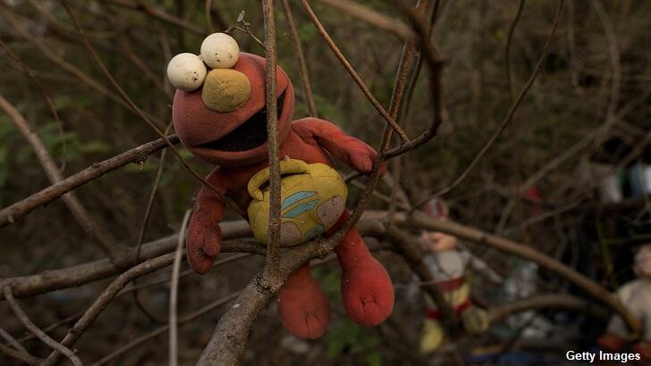 Watch: Hiker Finds Odd 'Elmo Tree' | Coast to Coast AM