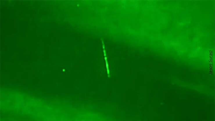 Watch: Strange Object Captured on Night Vision | Coast to Coast AM