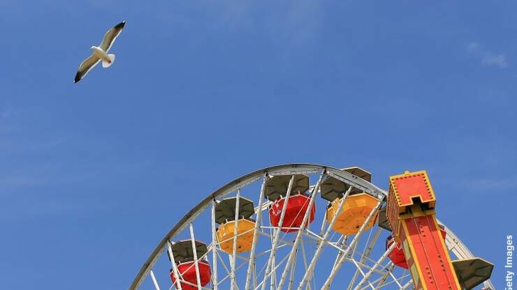 Watch: Teen Has Wild Encounter with Seagull on Amusement Park Ride ...