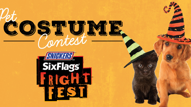 The Bear 102.5 | iHeart