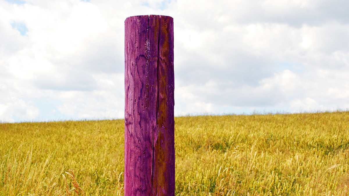 If You See A Purple Fence Post, Get As Far Away From It As You Can | iHeart