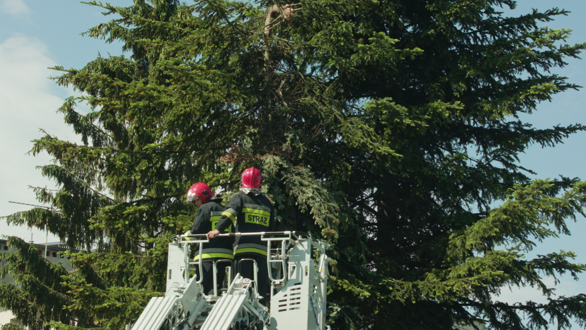 Texas Hunter Gets Stuck In Tree 18 Feet Up & Upside Down For Over An ...