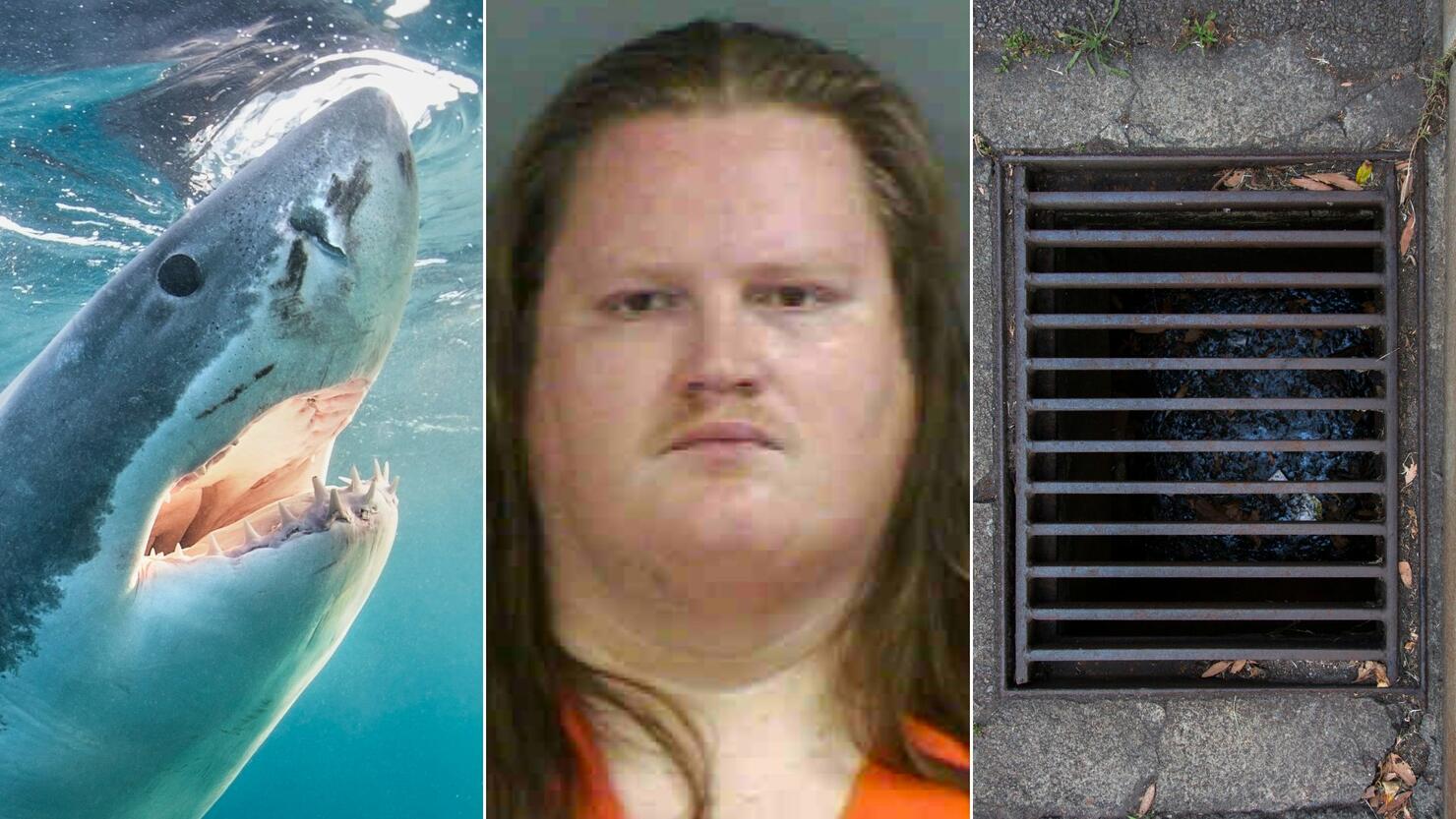 The Weirdest Florida Stories We Found In January 2023 Iheart