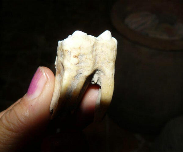 Sardinia: Giant Tooth & Tombs | Coast to Coast AM