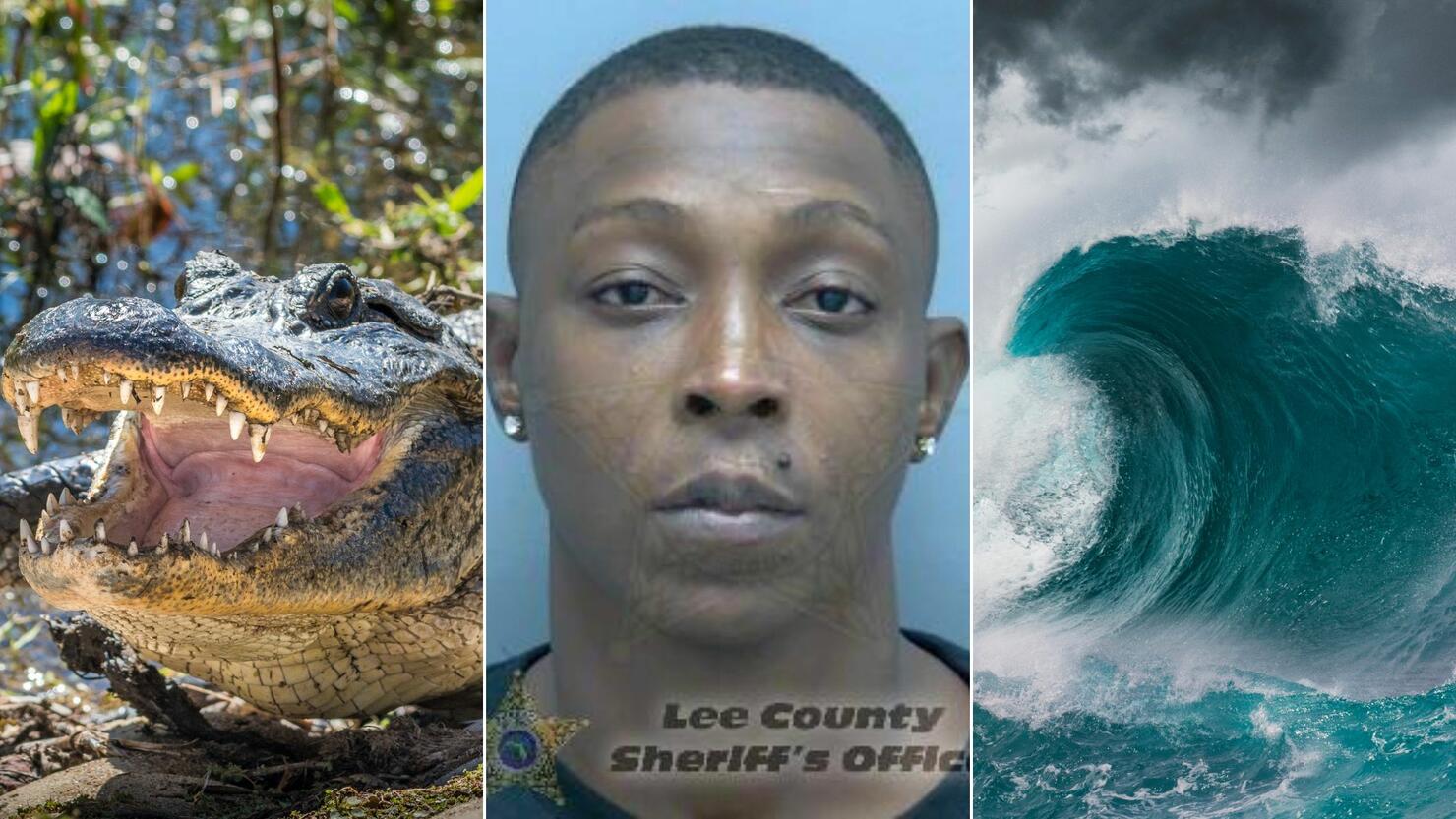 The Weirdest Florida Stories We Found In June 2023 Iheart