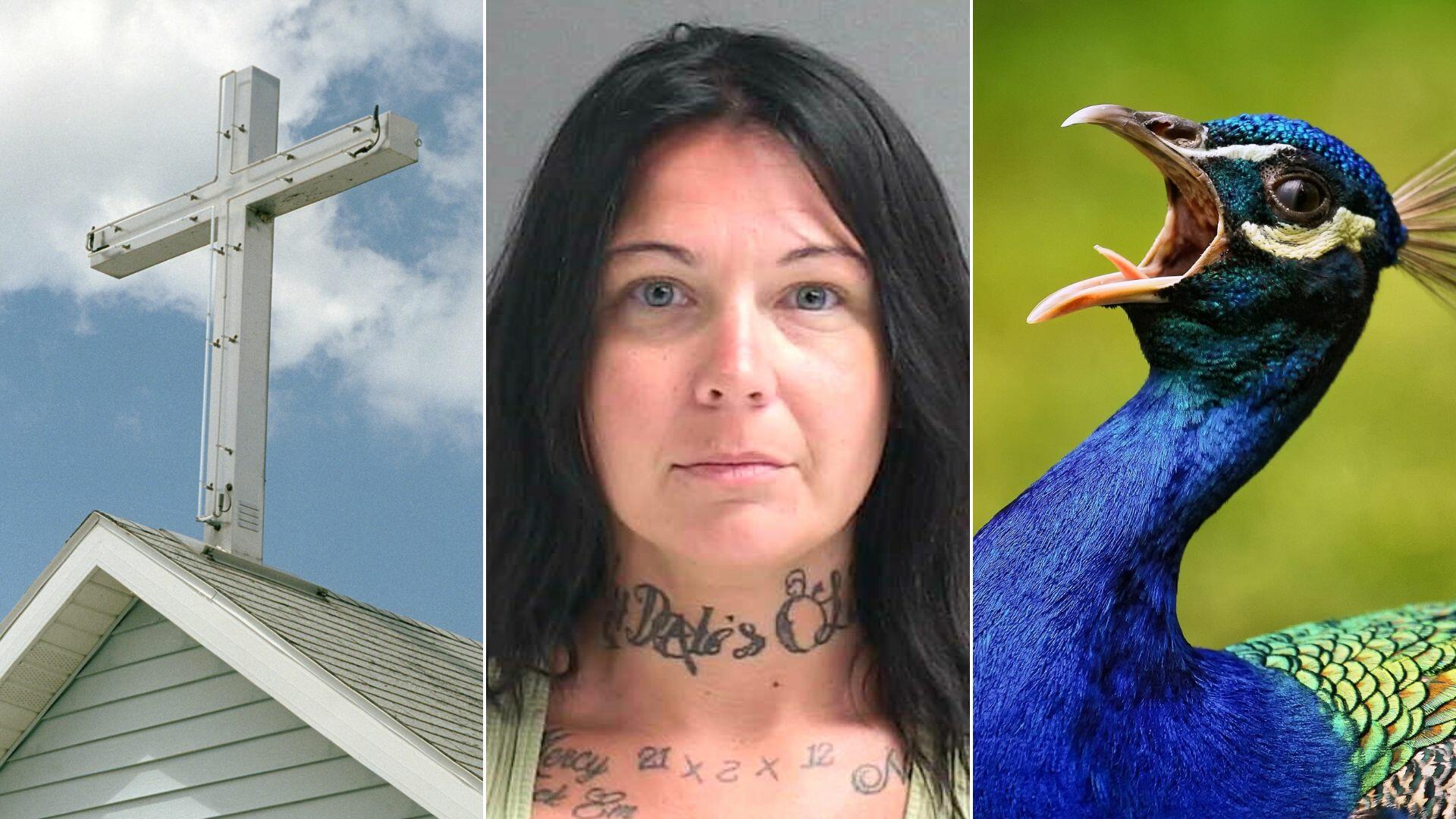 The Weirdest Florida Stories We Found In August 2023 Iheart