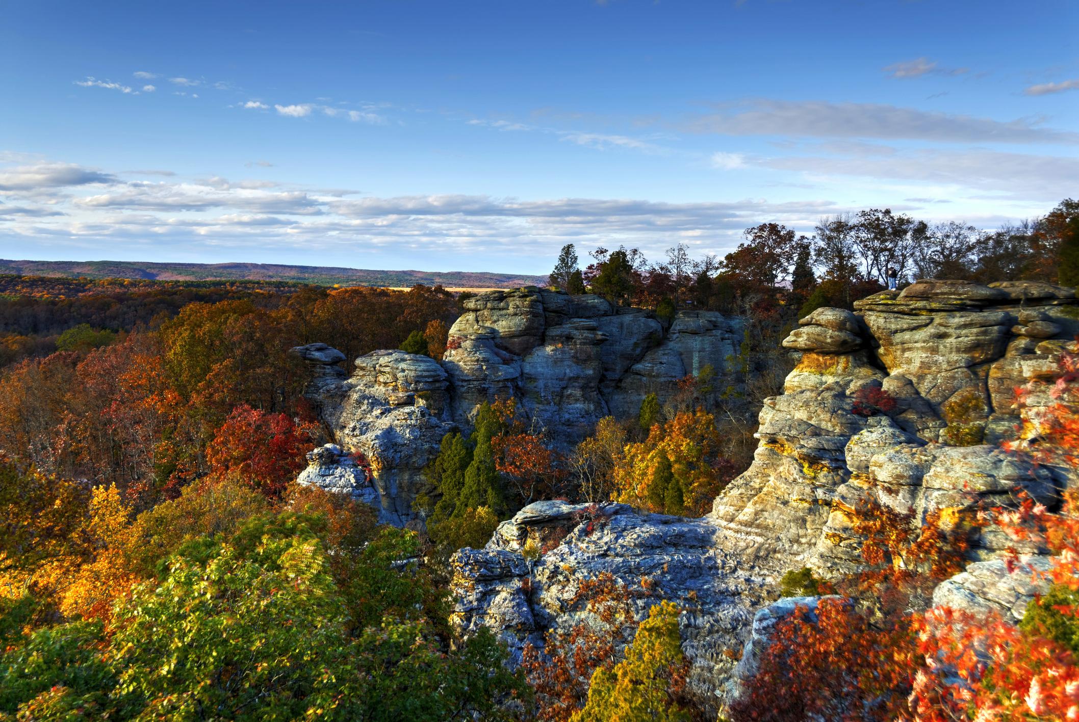 Illinois Forest Named Among Top 50 'Places You Must See Before You Die ...