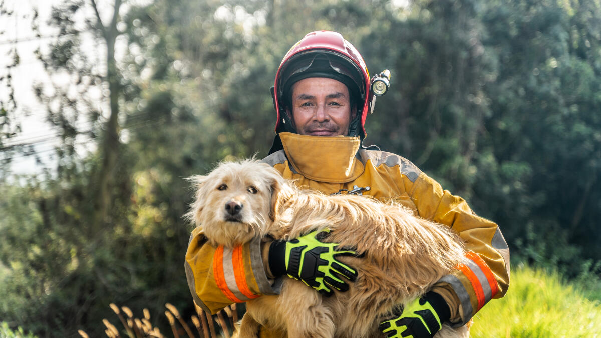 Wisconsin Firefighters Rescue Dog That Fell Into 30-Foot Well | iHeart