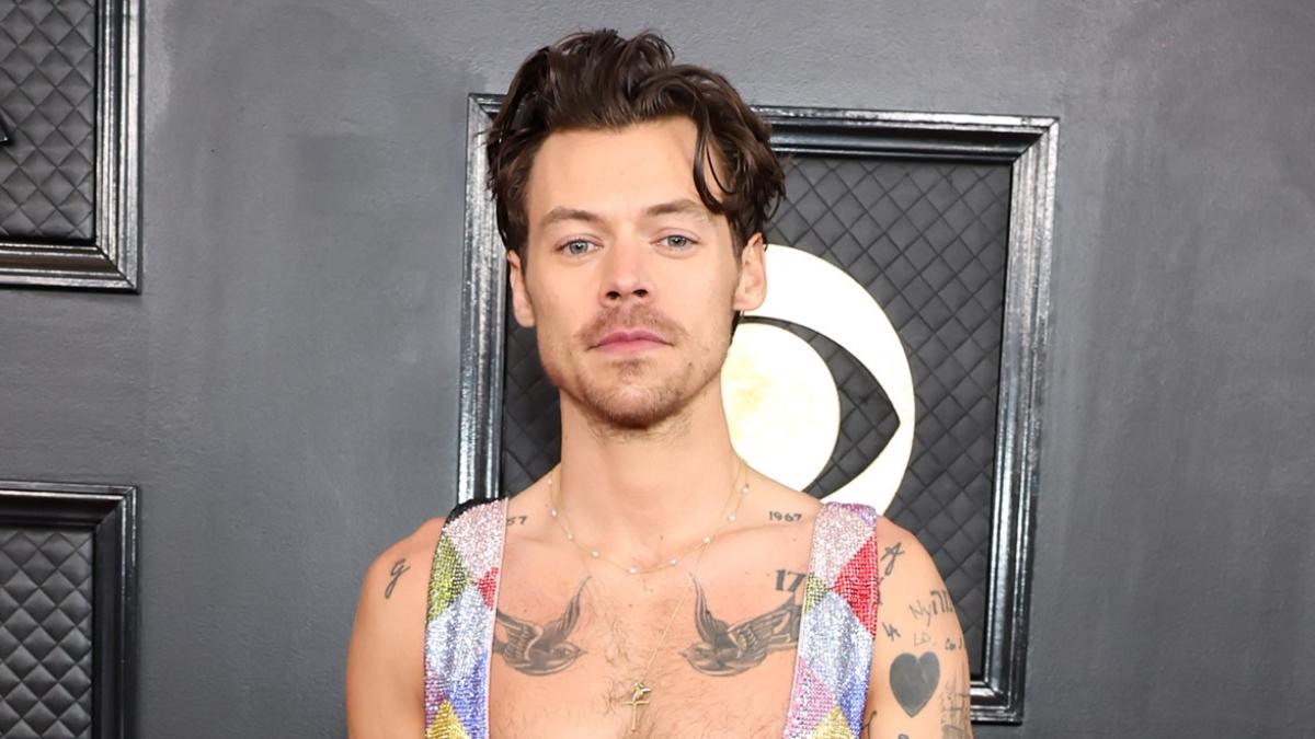 Harry Styles Shares 'Wild' Story Behind Viral Photo Of Him Seeing New ...