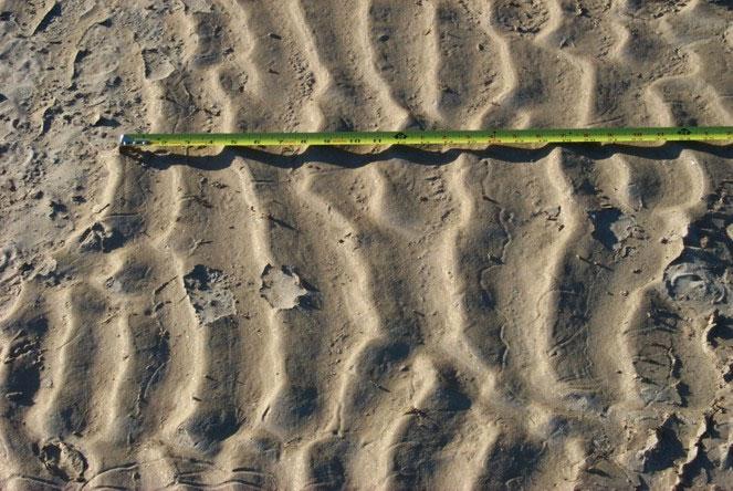Randall Carlson Earth Photos | Coast to Coast AM