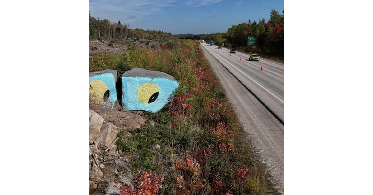 Did the famous 'Hwy 103 Eyes' get moved rather than destroyed?! - Move Mornings with Erin and ...