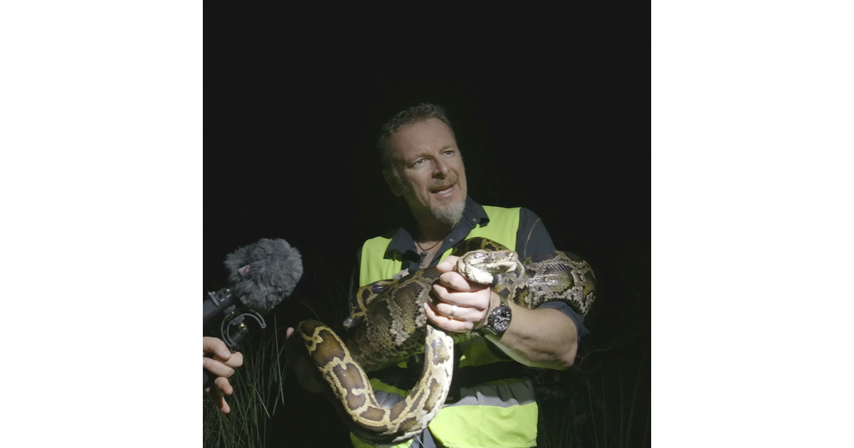 Everglades National Park: Invasion of the Burmese pythons (reprise ...