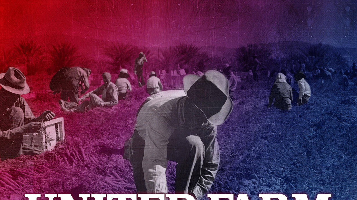 United Farm Workers | Birth of a Movement | 1 - American History ...