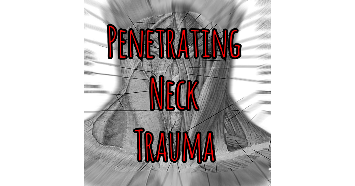 #9 of 2025 Top Ten: Penetrating Neck Trauma - Prolonged Field Care ...