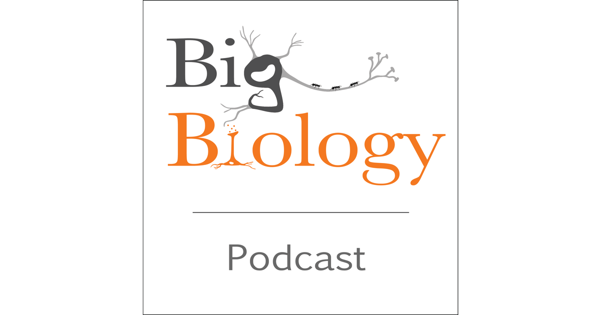 Big Biology | iHeart