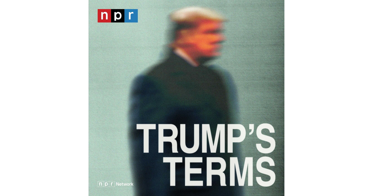 Immigrants with Temporary Protected Status fear deportation as Trump returns - Trump's Terms ...