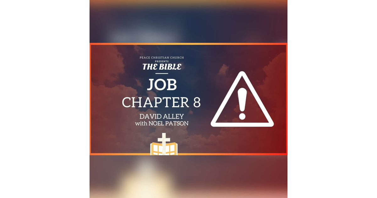 The Bible: Job Chapter 8 - The Bible by David Alley | iHeart